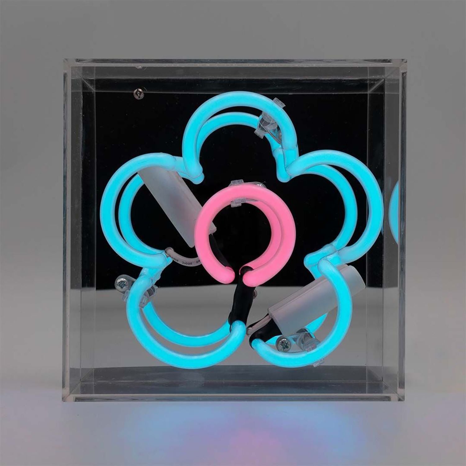 Daisy Mini Glass Neon Light - Blue – BF Home